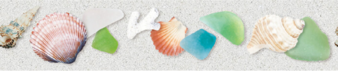 Sea Glass and Shells - 15mm Washi Tape - mt Masking Tape