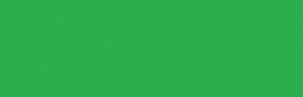 Green - 15mm Washi Tape - mt Masking Tape
