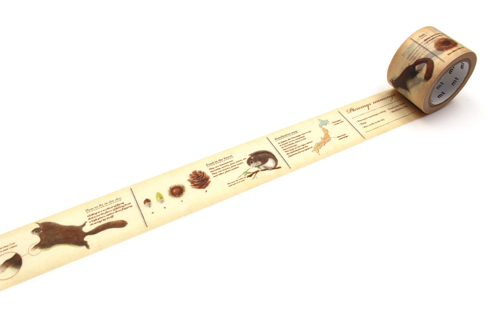 Encyclopedia Flying Squirrel - 30mm Washi Tape - mt Masking Tape